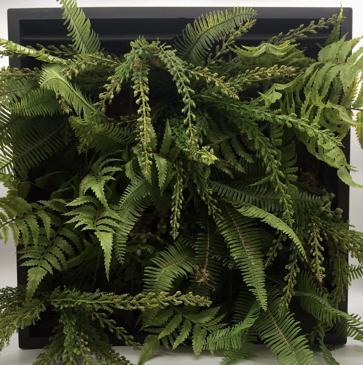 D&M Depot - Modular Planting System - Mondopiero