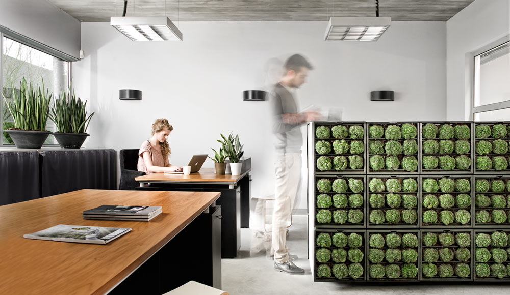 D&M Depot - Modular Planting System - Mondopiero